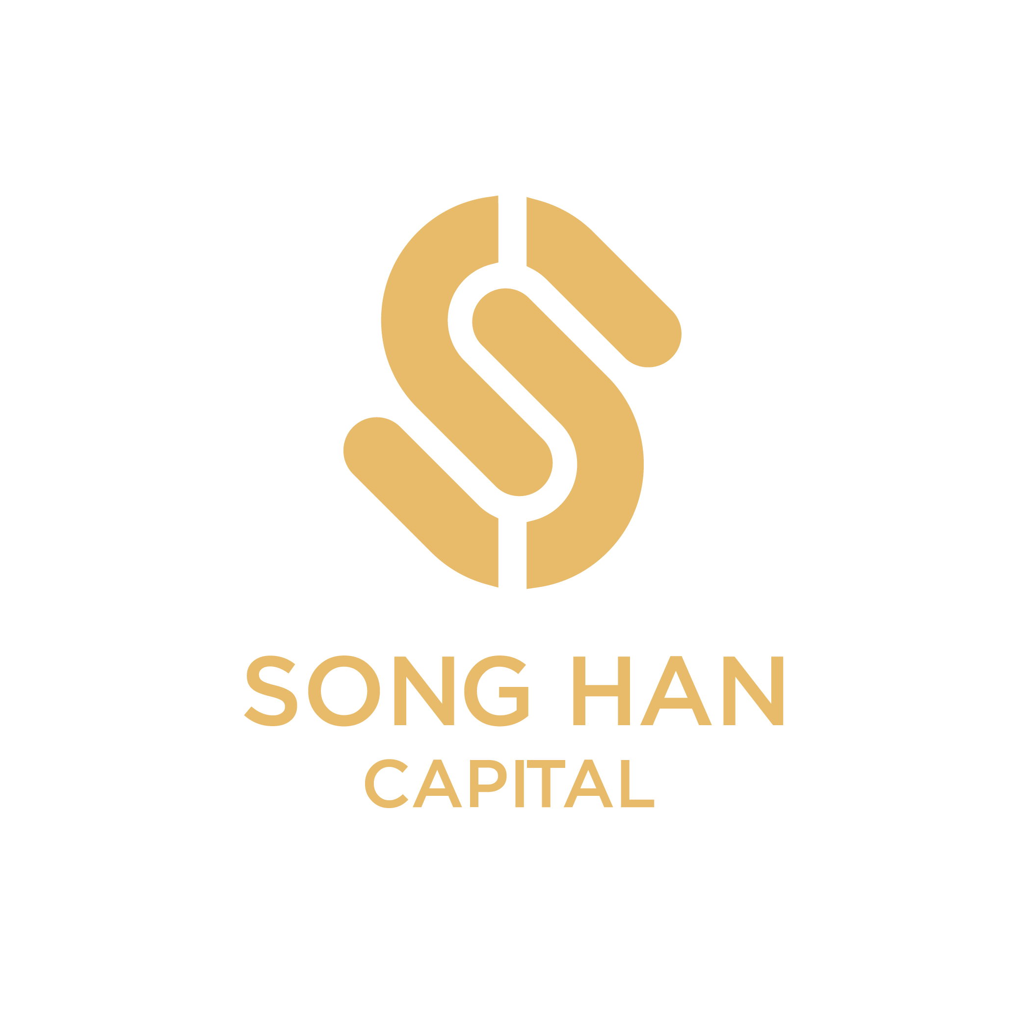 Sông Hàn Capital